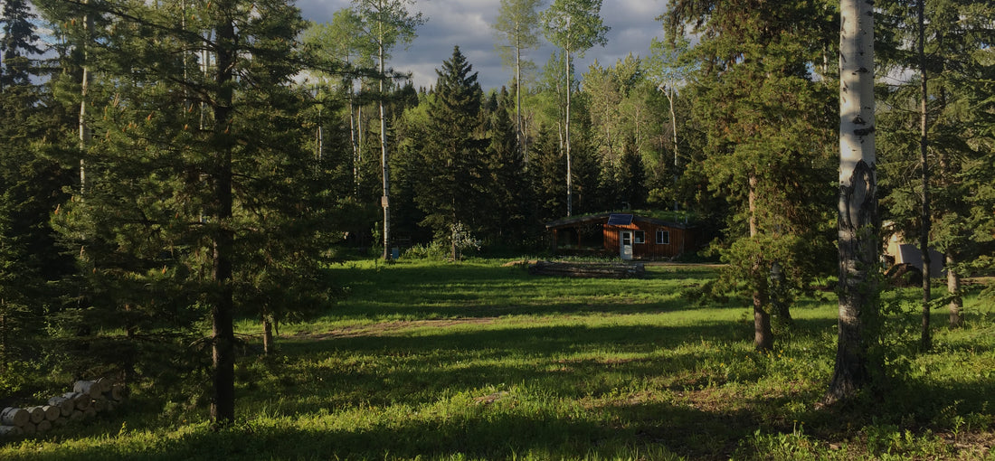 Gridlessness: Off Grid Homesteading