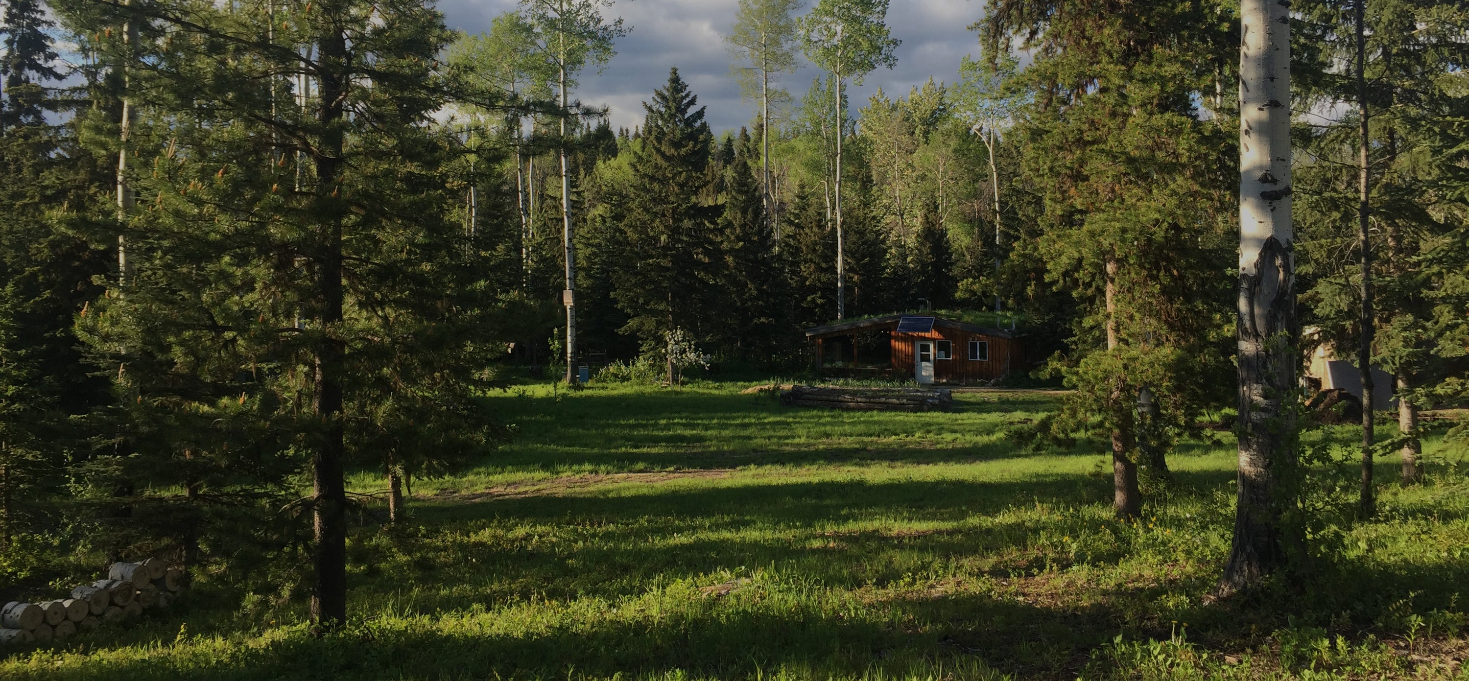 Gridlessness: Off Grid Homesteading